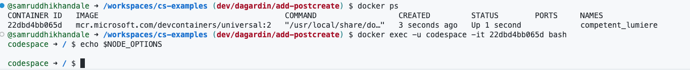 NODE_OPTIONS being set incorrectly in VS Code integrated terminal ...