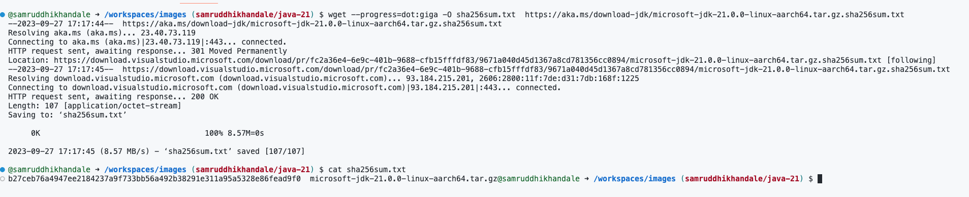 Bug (Java 21) - sha256sum.txt bug for automatic resolver · Issue #568 · microsoft/openjdk · GitHub
