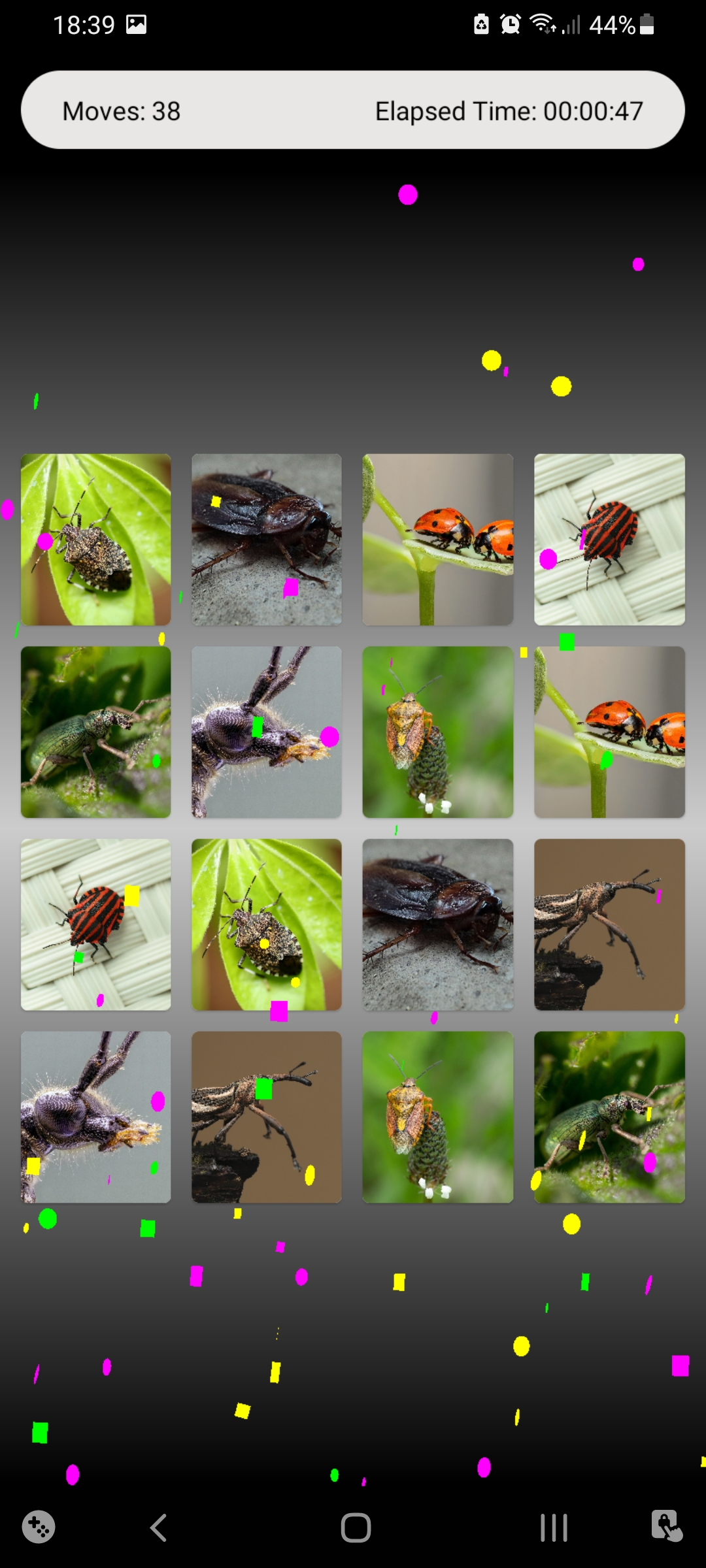 GitHub - spoelt/BugMemory: BugMemory is a memory game that lets users ...