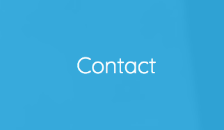 Browser ignoring .border · Issue #435 · tailwindlabs/tailwindcss · GitHub