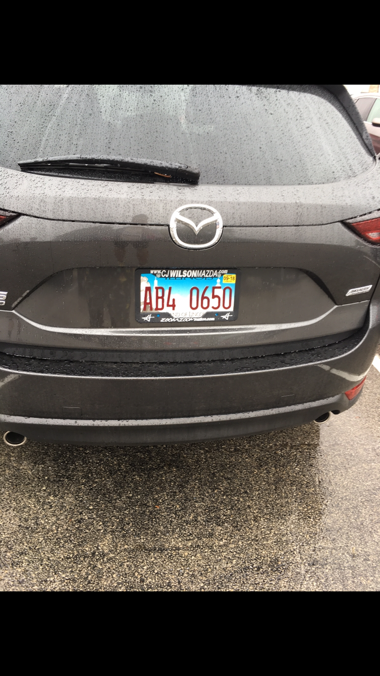 New Illinois Plate Obstructing The First Letter Enough To Cause Detection Issues · Issue 585