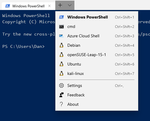 WSL Distro Logos Missing from Tabs and Menu · Issue #3283 · microsoft ...