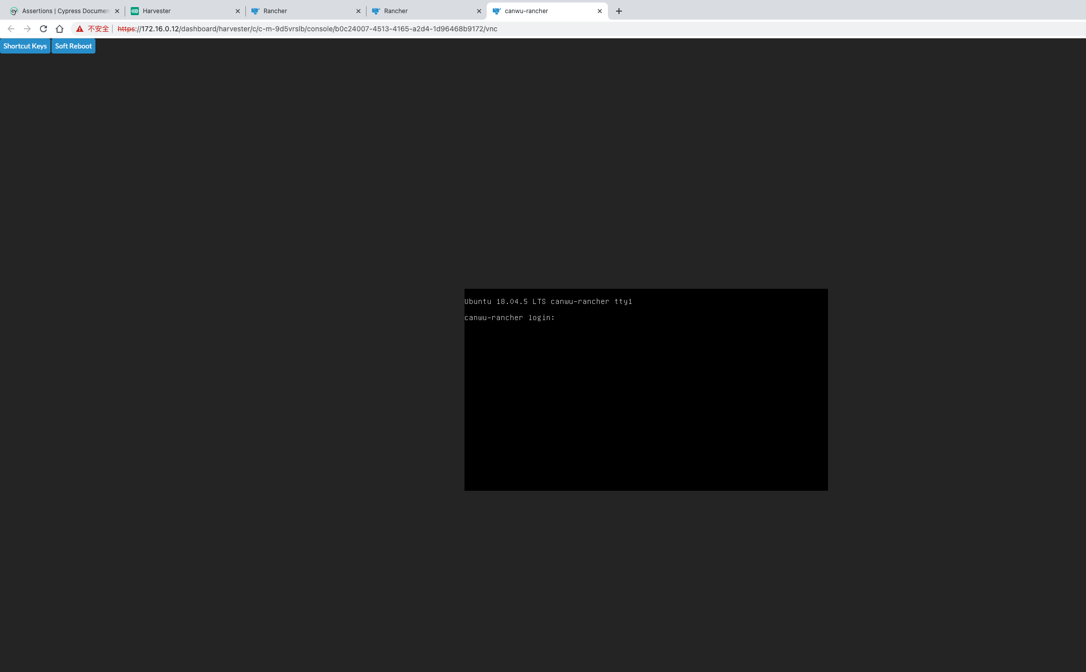 [BUG] VNC and Serial Console is blank when accessed through Rancher ...