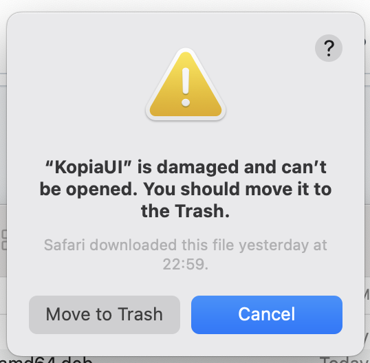 After upgrade to Electron 21.0.1 app longer starts on macOS/M1 · Issue ...
