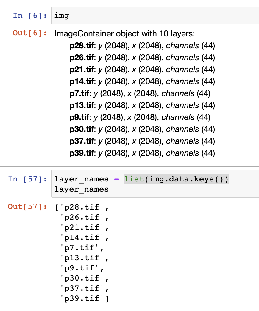Provide info on layers as attribute in ImageContainer · Issue #342 · scverse/squidpy · GitHub