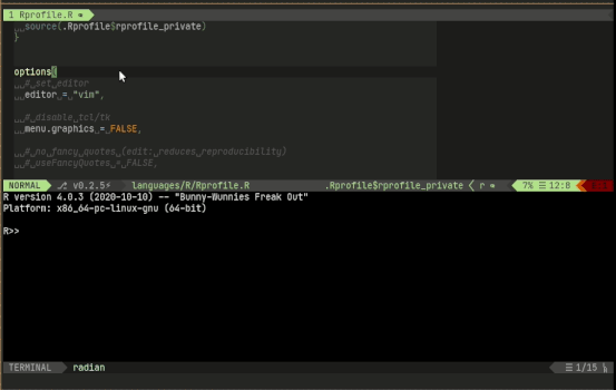 Duplicated lines when using FloatermSend with a range · Issue #241 · voldikss/vim-floaterm · GitHub