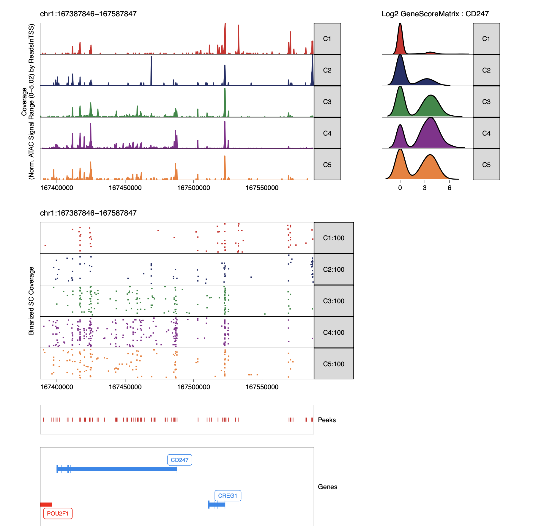 Visualizing matched RNA coverage in plotBrowserTrack() · Issue #313 · GreenleafLab/ArchR · GitHub