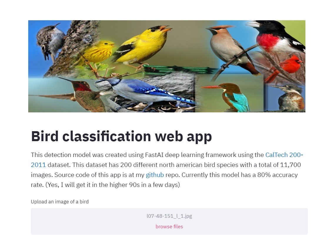 GitHub - clatonhendricks/Birds_Classification: A simple web app project ...