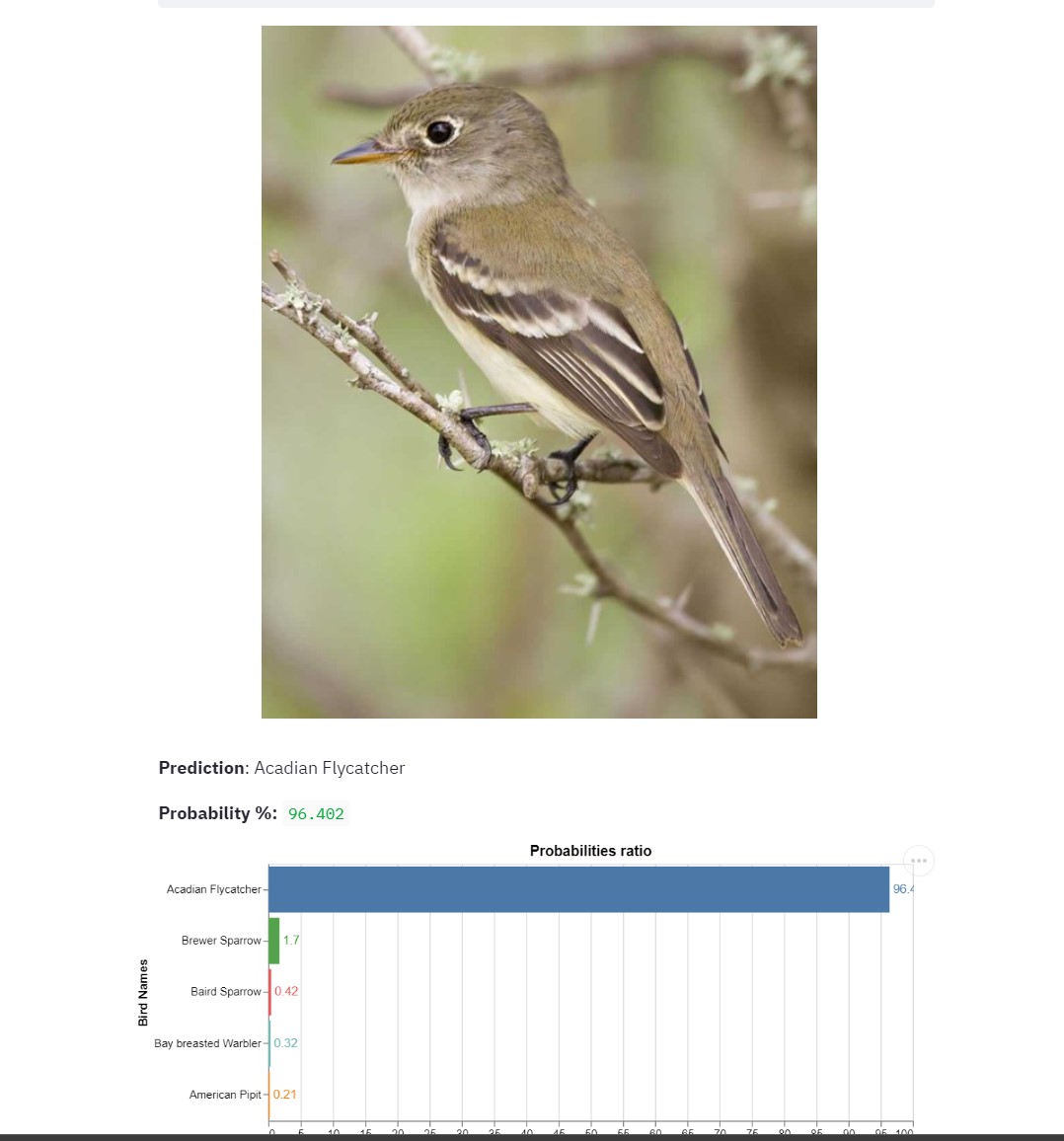 GitHub - clatonhendricks/Birds_Classification: A simple web app project using FastAI, Streamlit ...