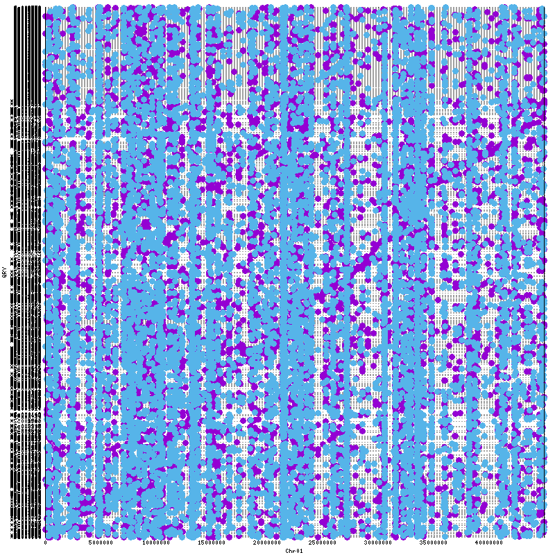 NUCmer + mummerplot to compare a draft assembly to a related finished ...