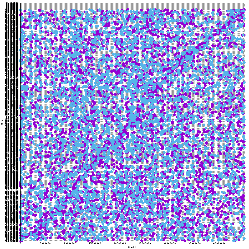 NUCmer + mummerplot to compare a draft assembly to a related finished ...