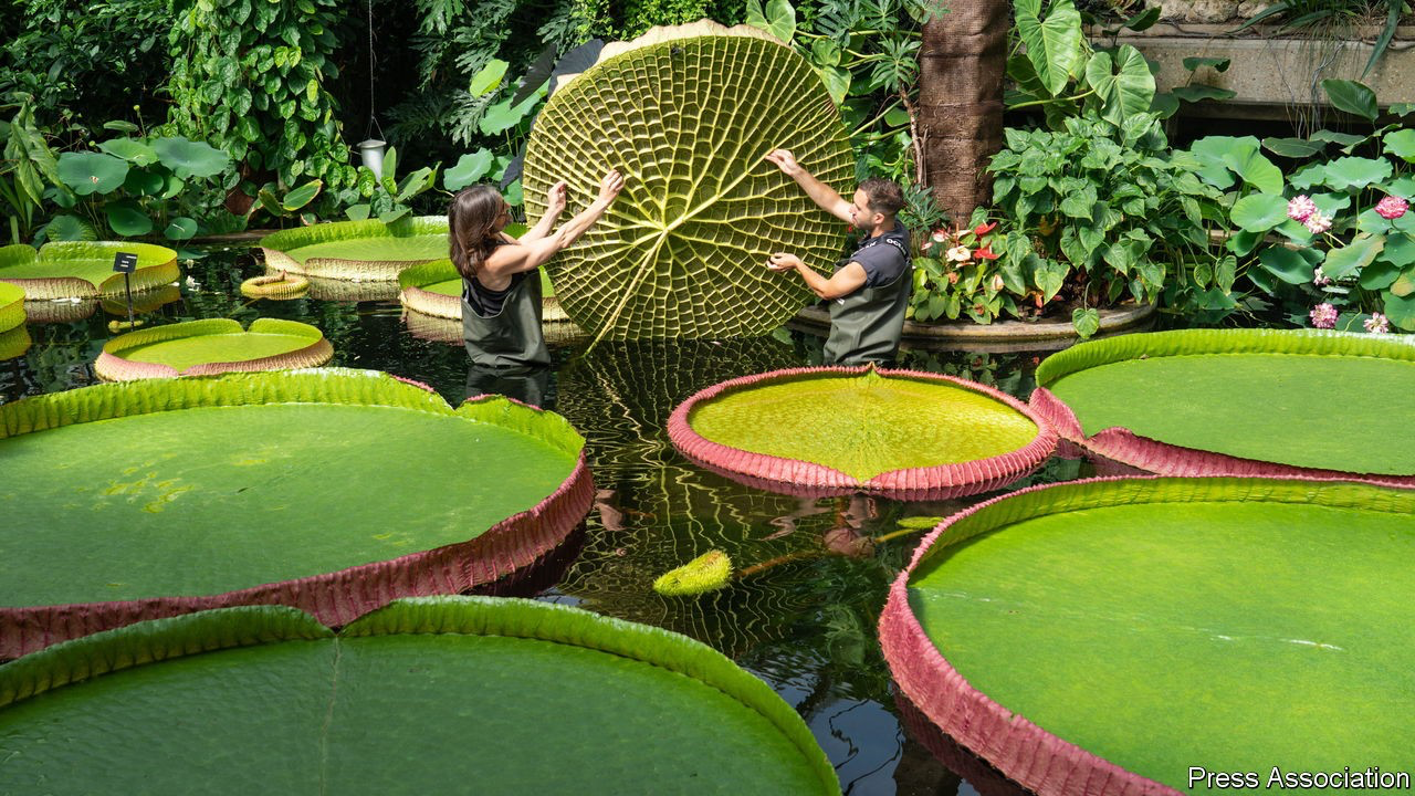 【周刊】第 37 期 · Issue #878 · openbiox/weekly · GitHub