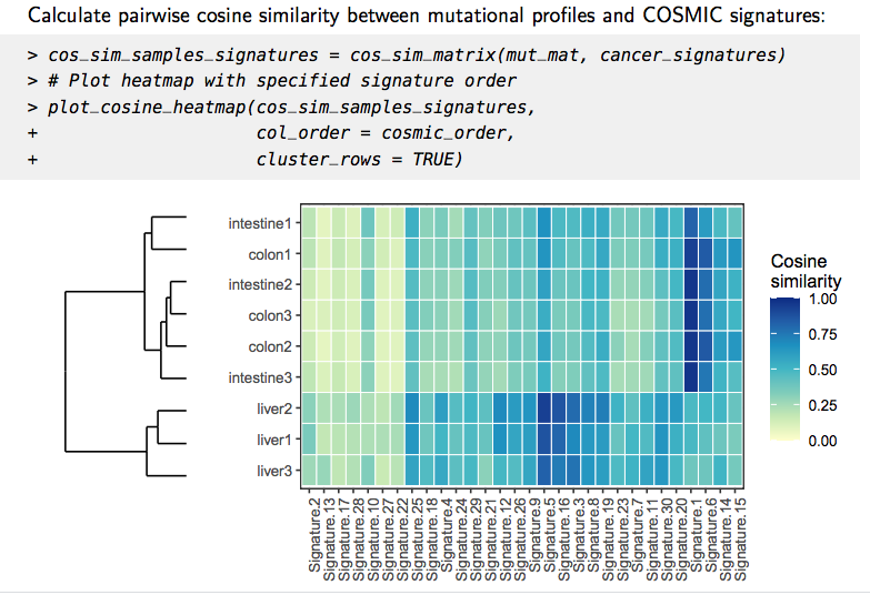 这是样本聚类嘛？ · Issue #187 · ShixiangWang/sigminer · GitHub