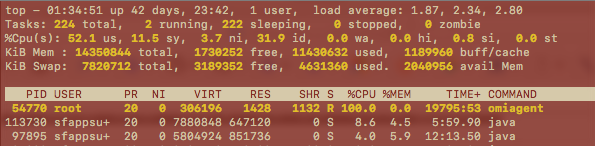 omiagent keep consuming high memory · Issue #498 · microsoft/OMS-Agent-for-Linux · GitHub