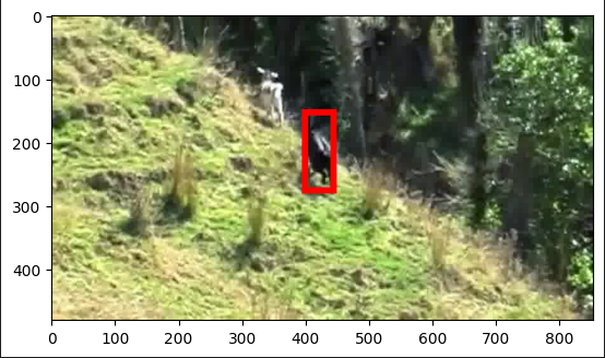 Are some labels error in train set? · Issue #73 · got-10k/toolkit · GitHub