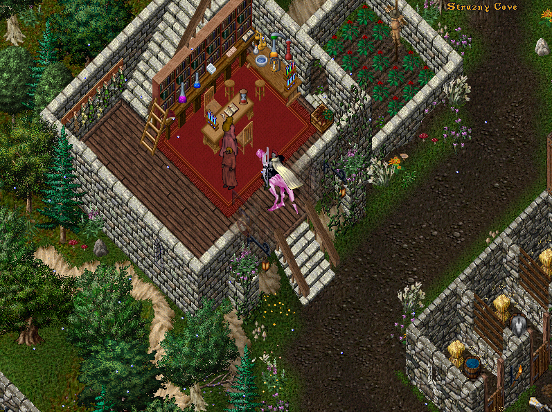 Z level problems · Issue #273 · Sphereserver/Source-X · GitHub