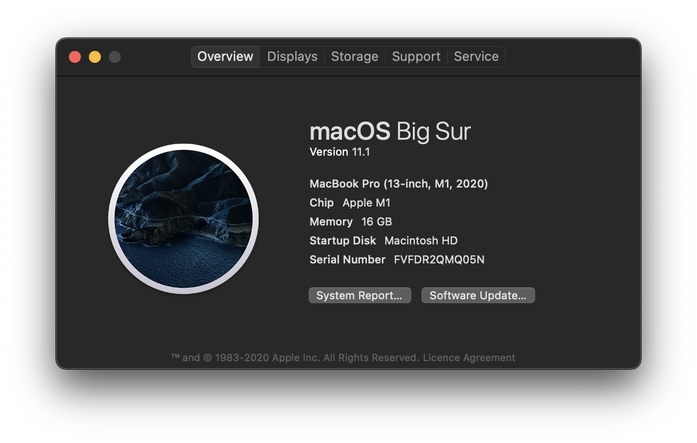 Build error with Apple M1 Silicon (arm64e) · Issue #384 · MisterTea/EternalTerminal · GitHub