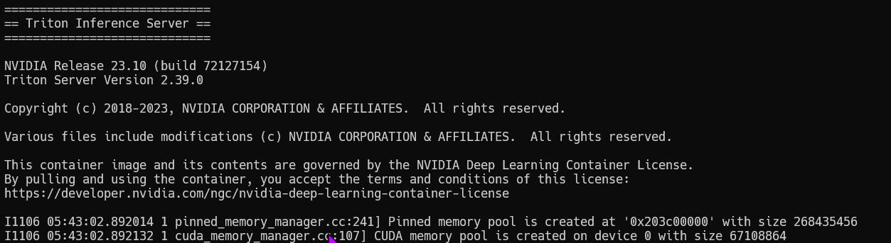 exception in starting triton server · Issue #6520 · triton-inference-server/server · GitHub