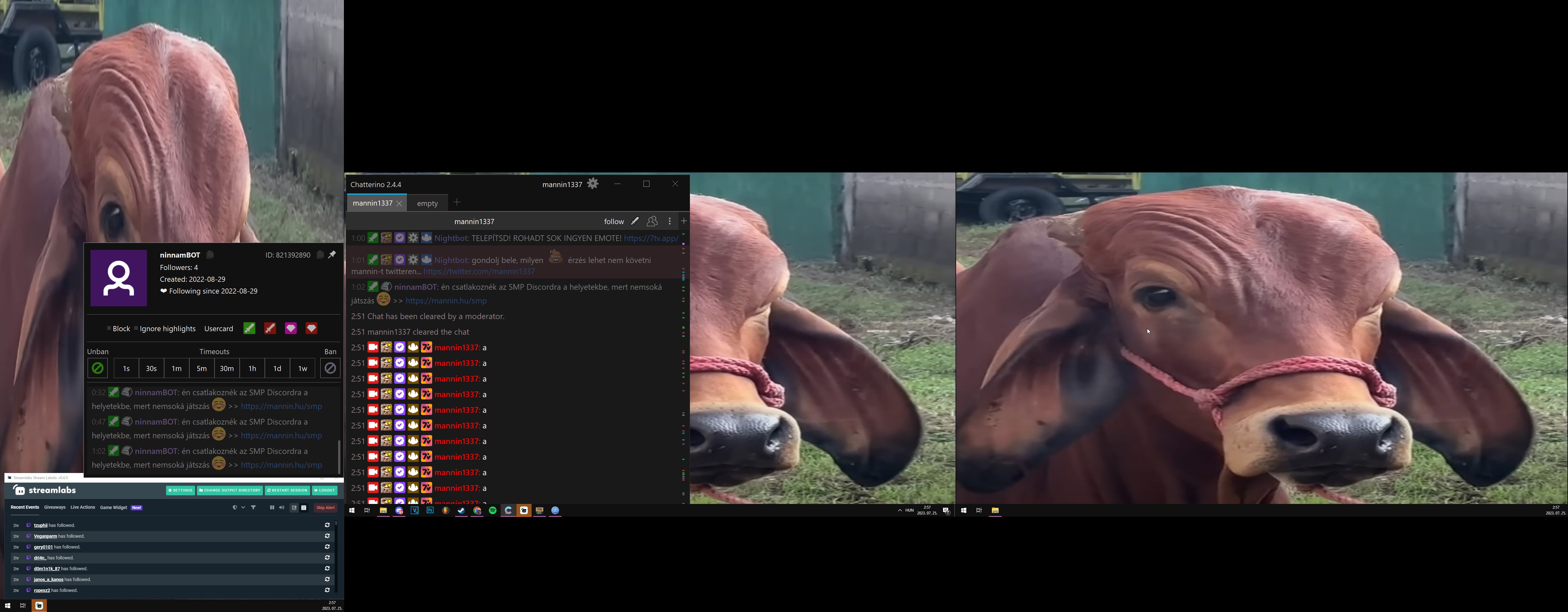Usercards and the emote picker is appearing on the wrong screen · Issue ...