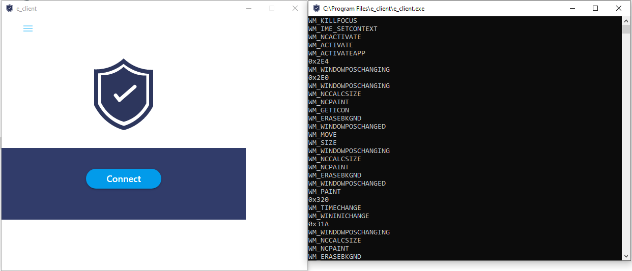 [bug] Crashing app appearance after Windows Remote Desktop connection ...