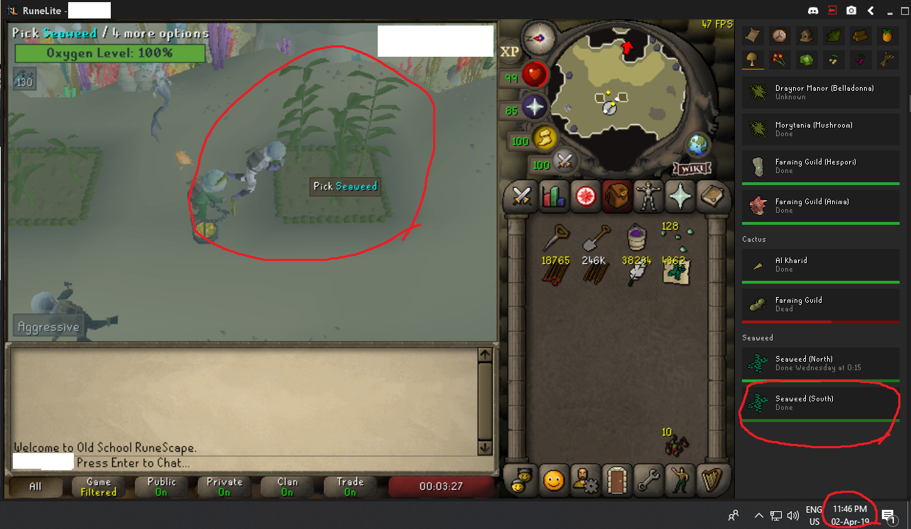 Giant Seaweed timer needs to be adjusted. · Issue #8383 · runelite/runelite · GitHub