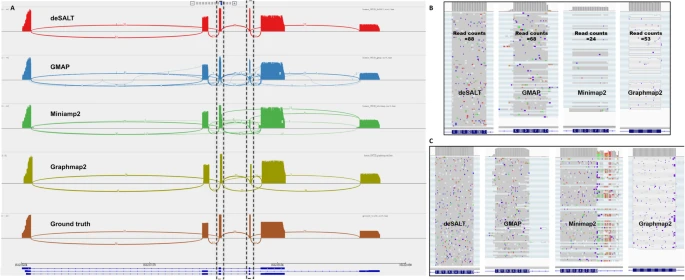 Missmapping of small exon · Issue #968 · lh3/minimap2 · GitHub