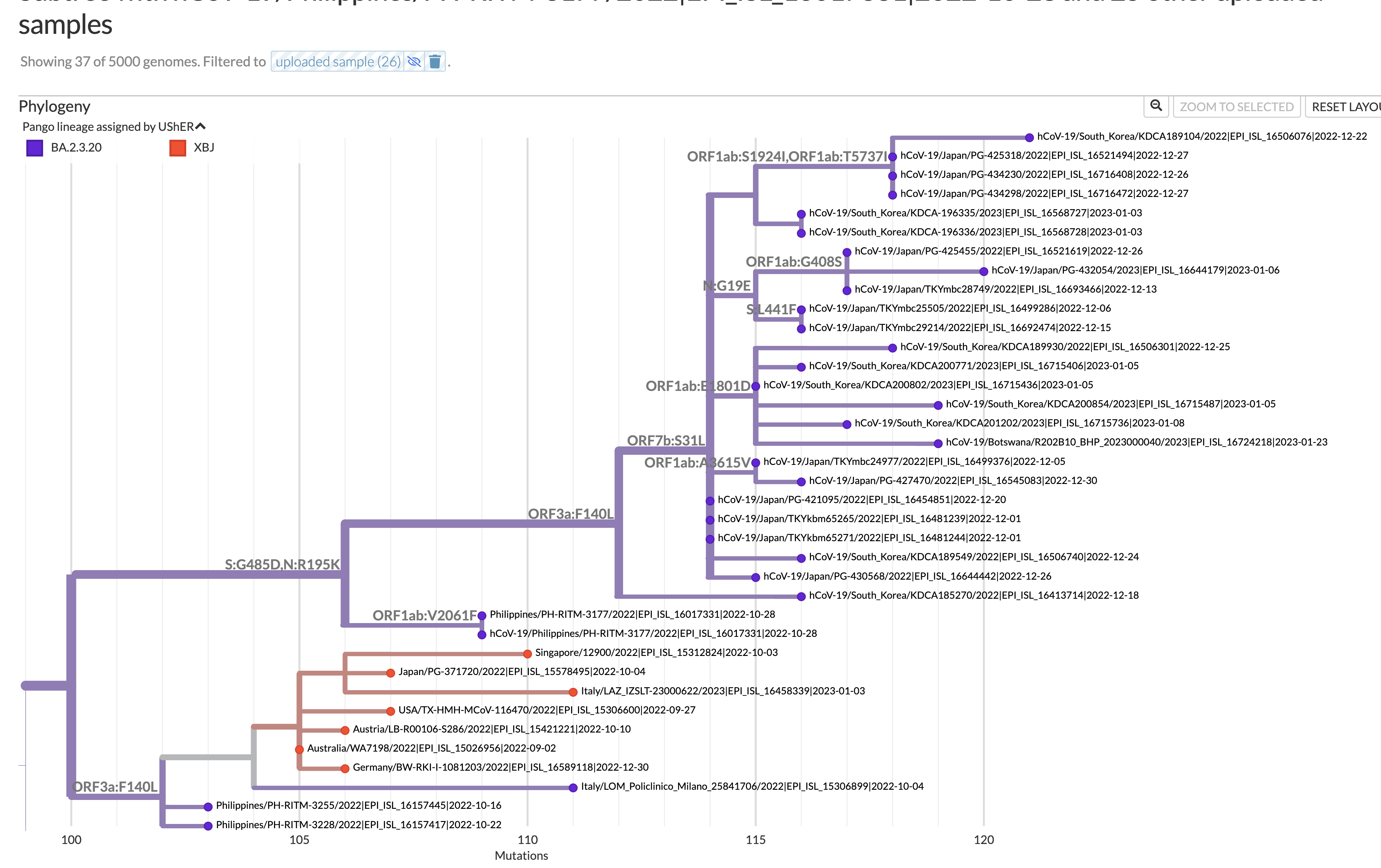 XBJ saltation sublineage - with S:485D and ~10 private mutations [26 ...