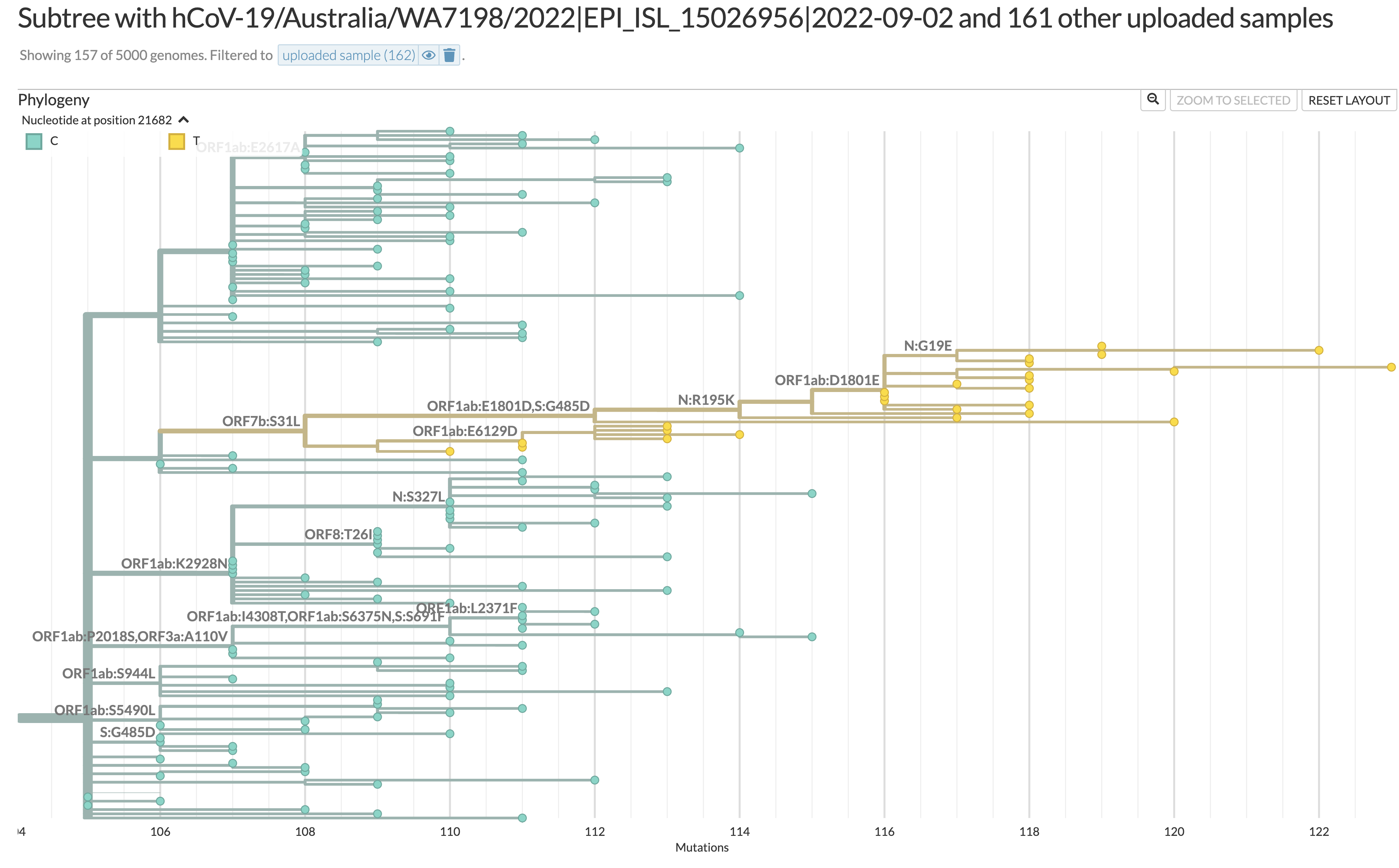 XBJ saltation sublineage - with S:485D and ~10 private mutations [26 ...
