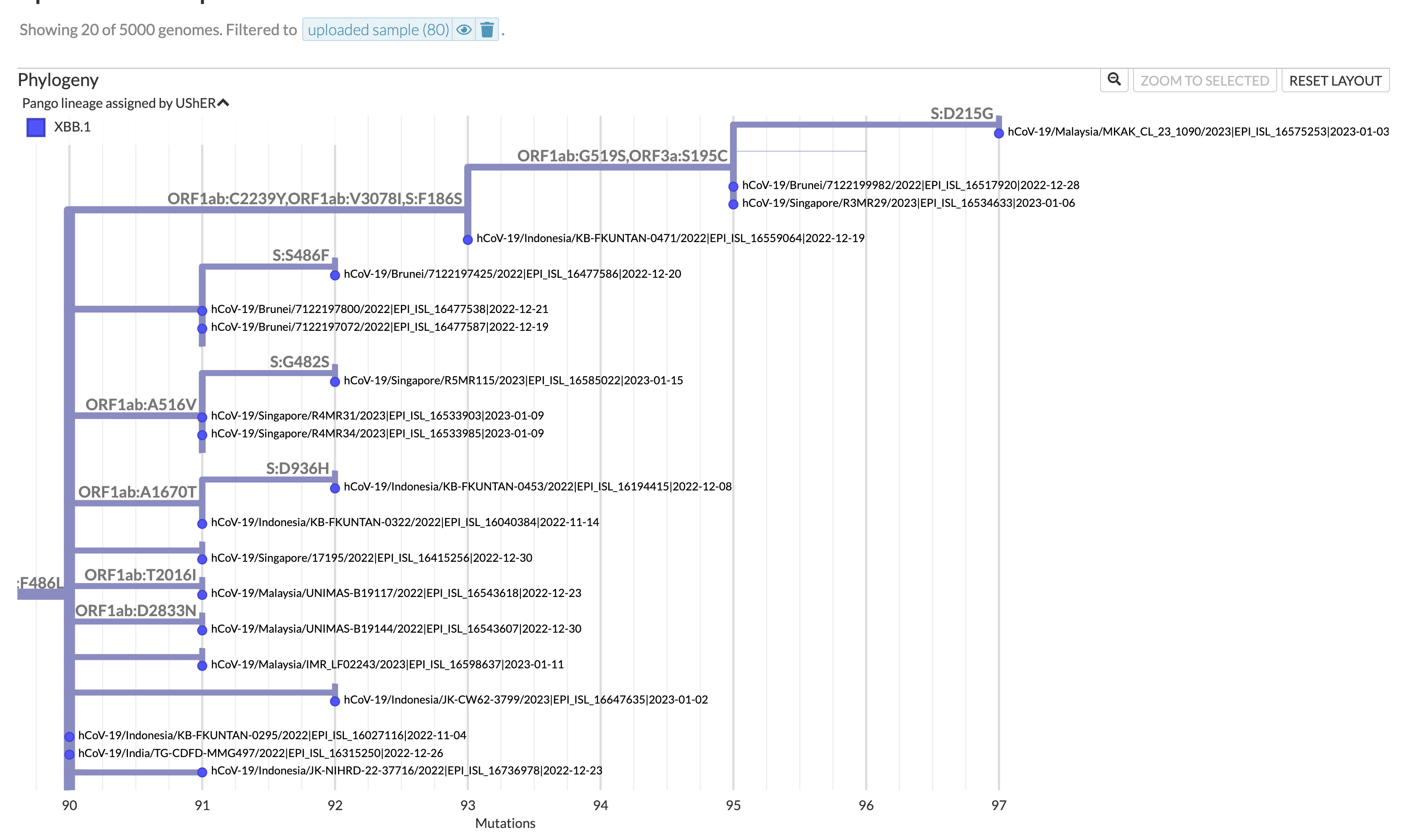 Another XBB.1 sublineage with S:F486P (12 seq, mainly SE Asia) · Issue ...