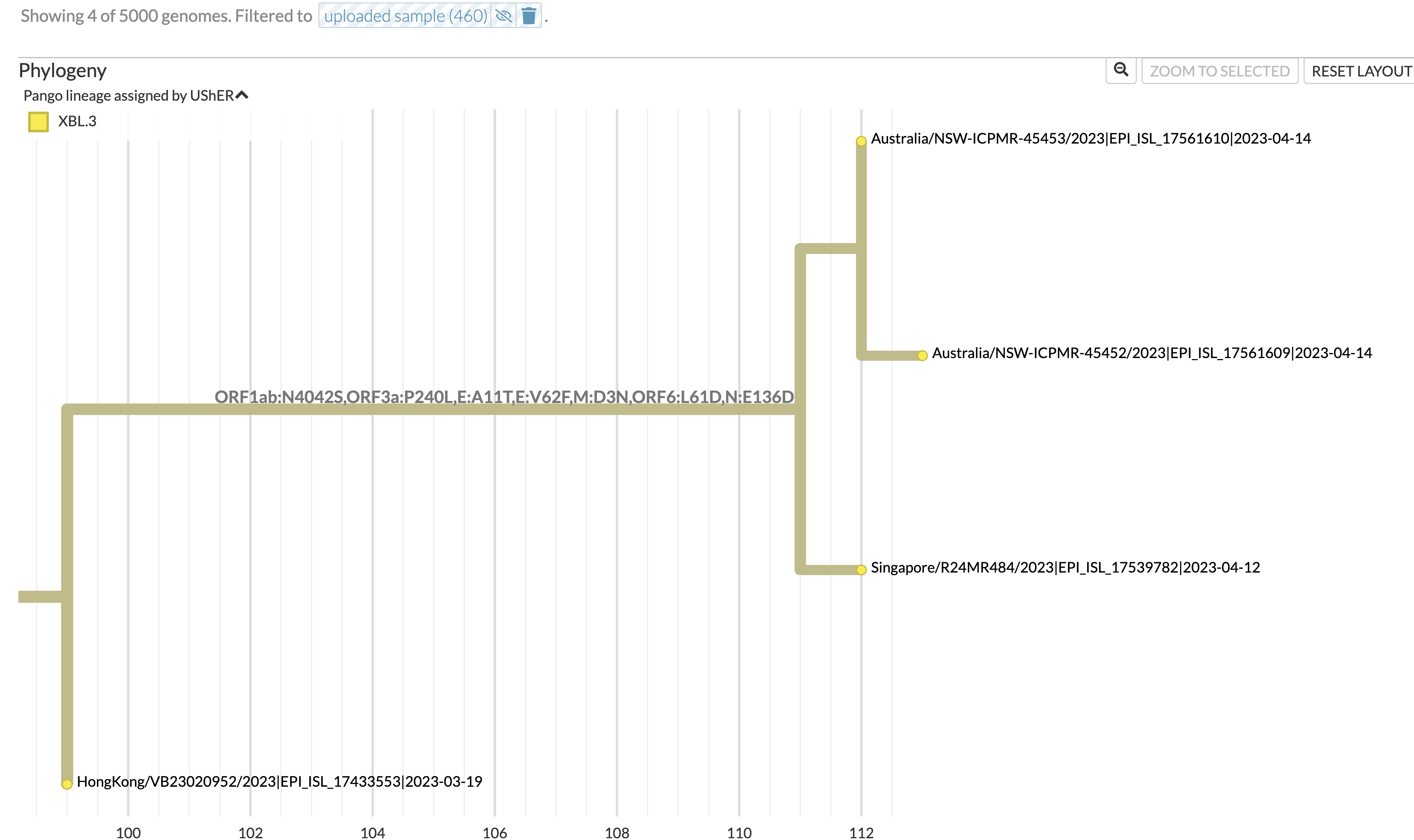 XBL.3 x BQ.1.1.13 recombinant (2x Australia, 1x Singapore as of 2023-05-01) · Issue #1978 · cov ...