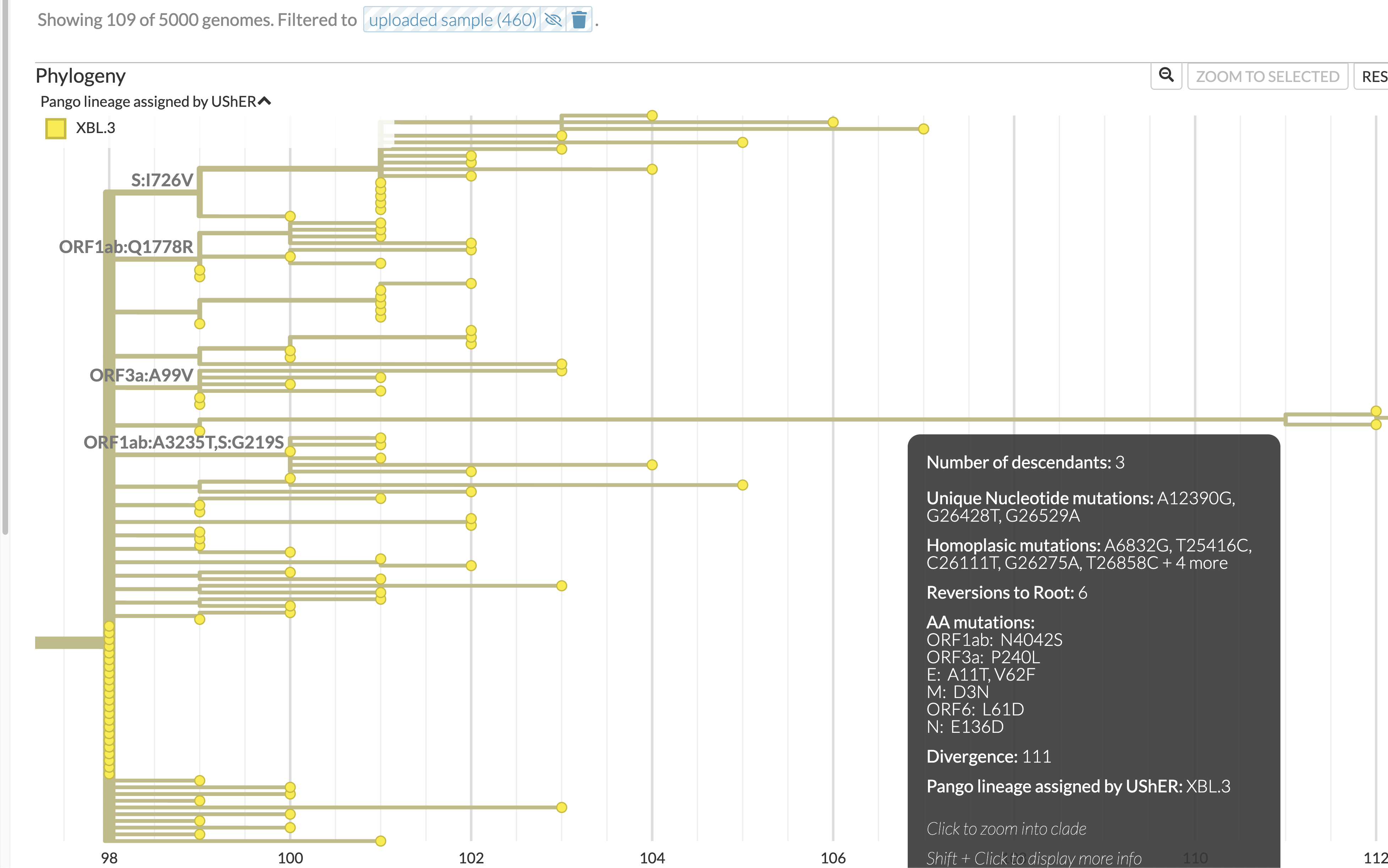 XBL.3 x BQ.1.1.13 recombinant (2x Australia, 1x Singapore as of 2023-05-01) · Issue #1978 · cov ...
