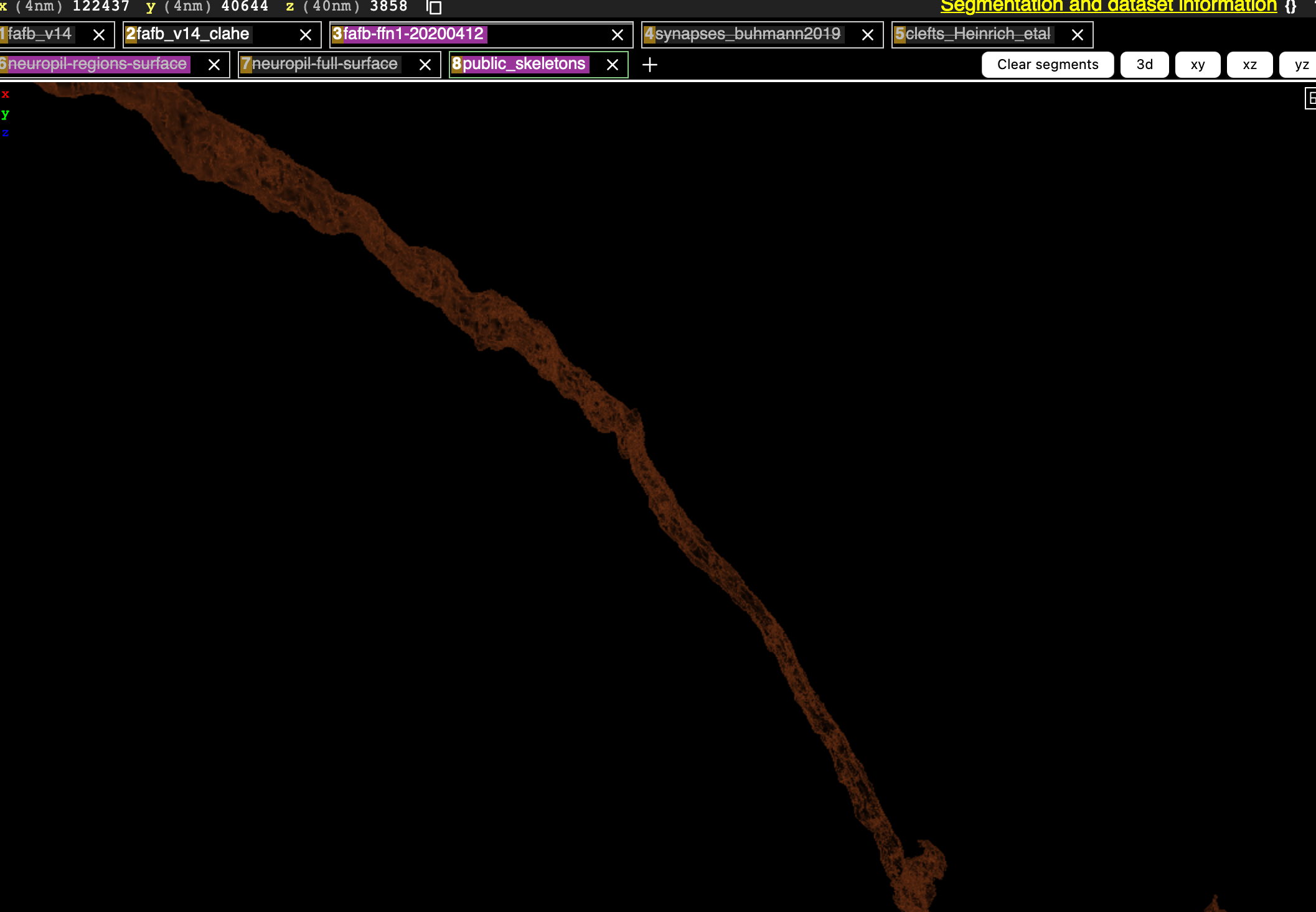 Skeletons not Rendering · Issue #285 · google/neuroglancer · GitHub