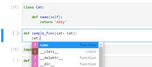 Third-party module type annotation support · Issue #12 · jupyter-lsp ...
