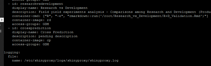 Im not getting logs for 500 error in portal · Issue #354 · openanalytics/shinyproxy · GitHub