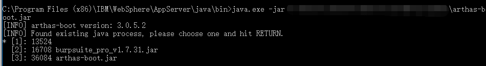 WebSphere 获取不到 java 进程 · Issue #426 · alibaba/arthas · GitHub