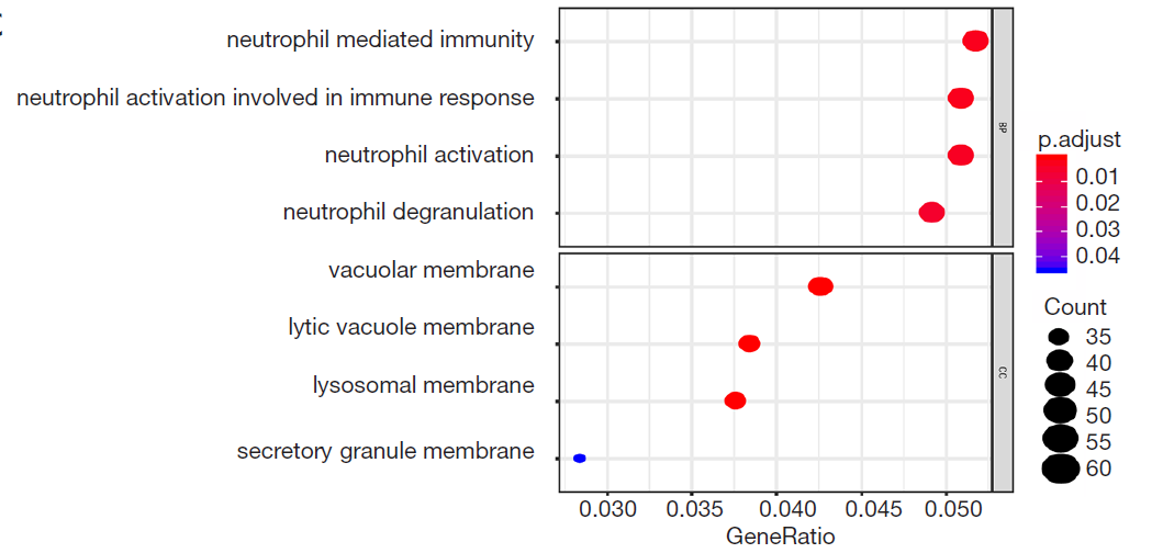 enrichGO dose not show BP CC MF, just a whole · Issue #254 · YuLab-SMU/clusterProfiler · GitHub