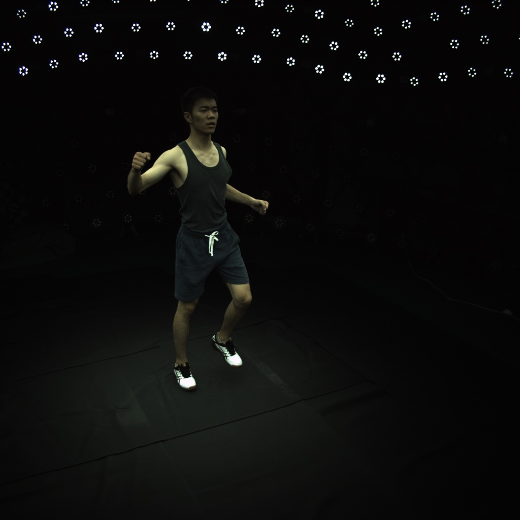 SMPL mesh is flipped? · Issue #35 · zju3dv/neuralbody · GitHub