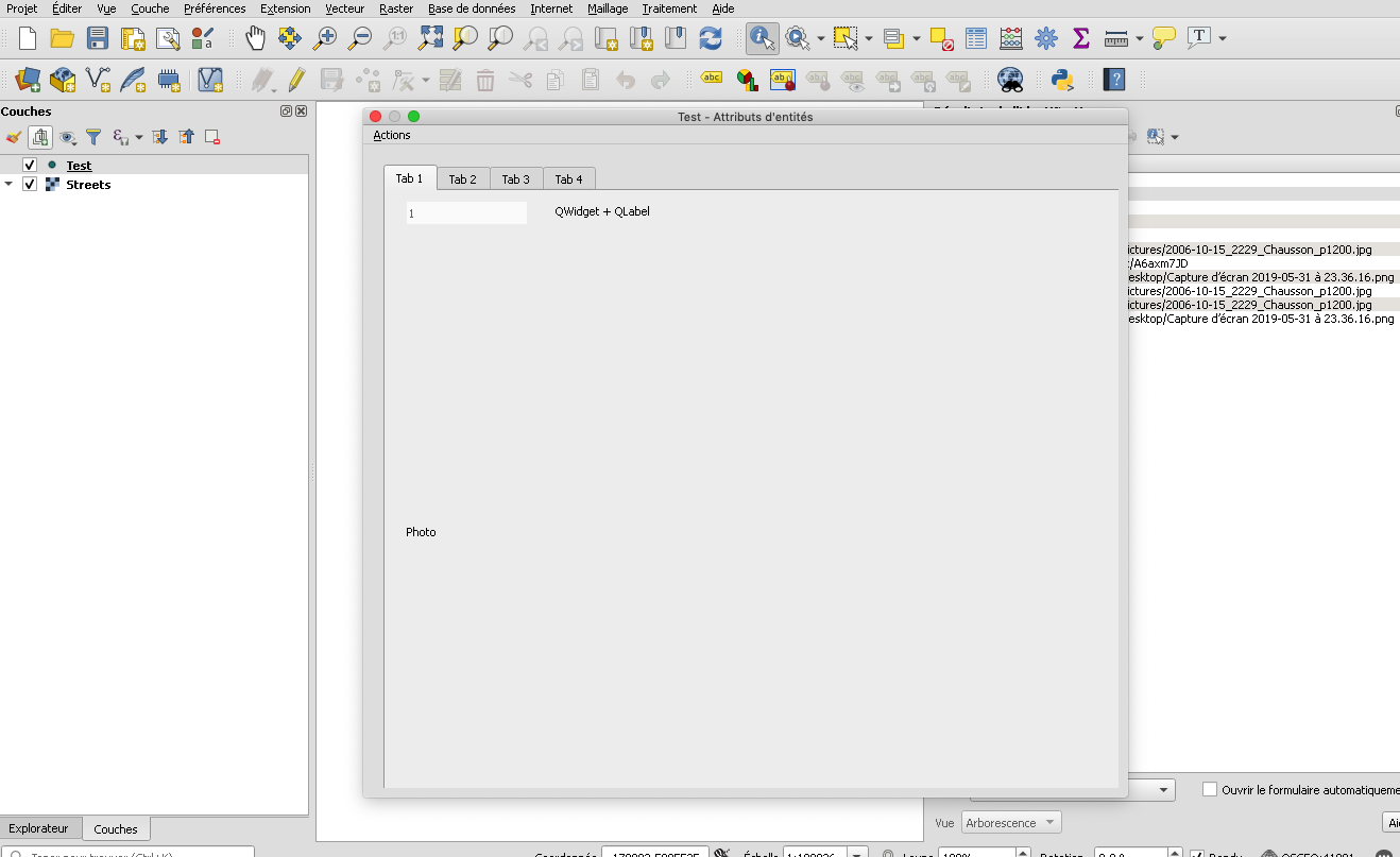 Cannot Load Pictures Anymore In Custom Forms · Issue 30833 · Qgisqgis