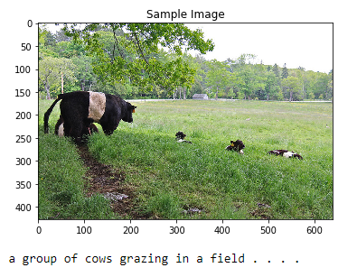 GitHub - aiedward/Computer-Vision-Projects-1