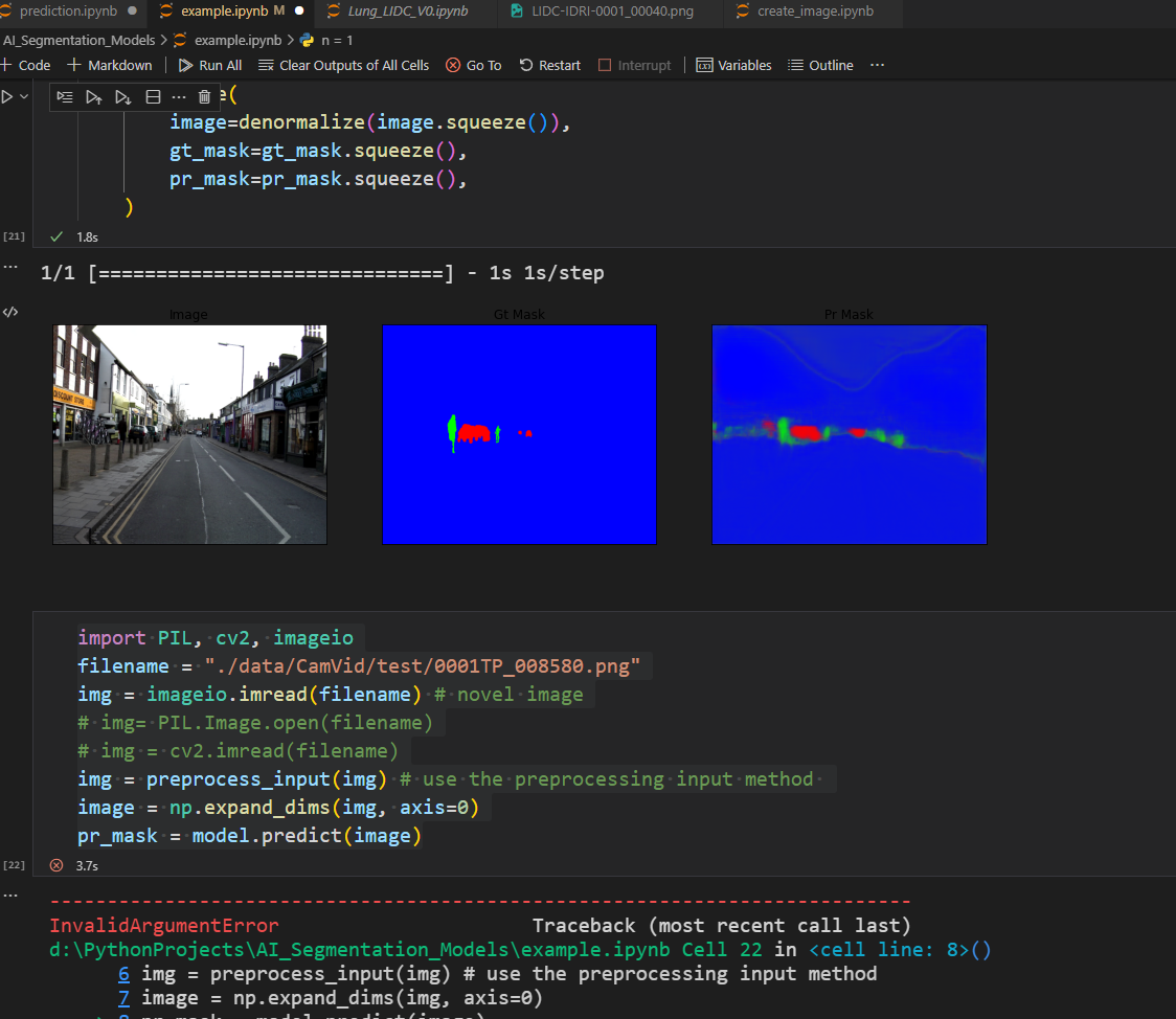 Prediction On Test Set Is Fine Failed On Single Image Prediction 
