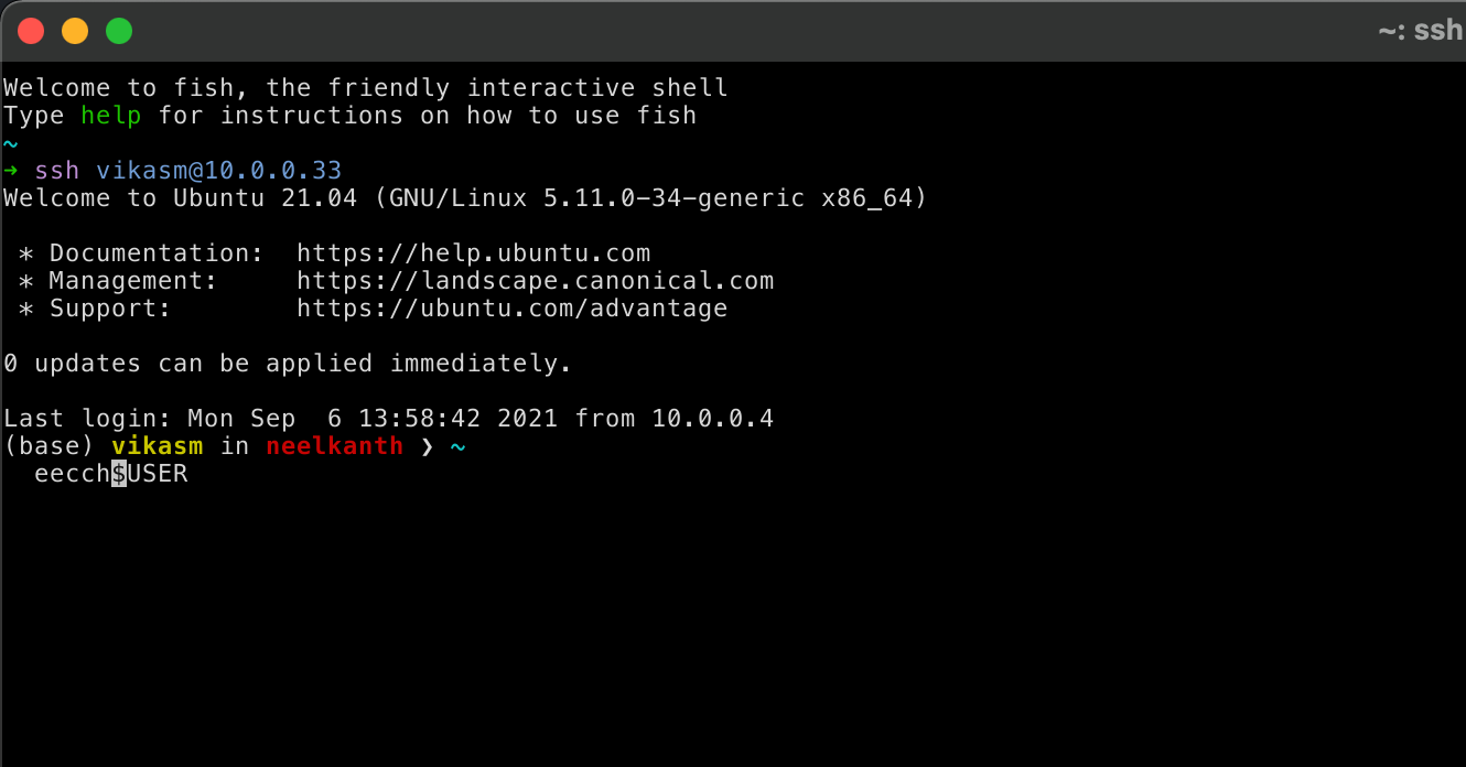 Doing an SSH from Kitty causes a weird echo of typed chars. · Issue #3996 · kovidgoyal/kitty ...