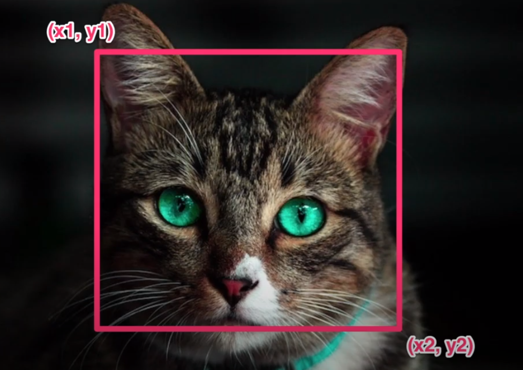 GitHub - jaewoocho/Cat-Face-Recognition