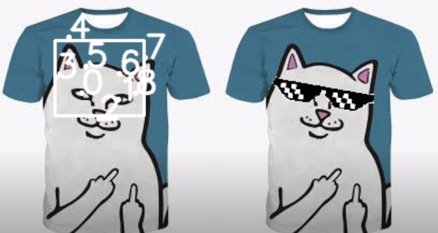 GitHub - jaewoocho/Cat-Face-Recognition