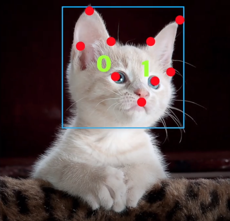 Cat-Face-Recognition/images.md at main · jaewoocho/Cat-Face-Recognition ...
