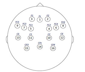 GitHub - jm4302/EEG-CSP-Filter-Project