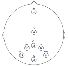 GitHub - jm4302/EEG-P300-Speller-Project · GitHub