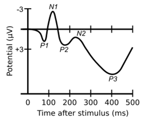 GitHub - jm4302/EEG-P300-Speller-Project