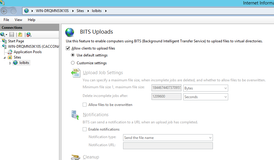 Troubleshooting ideas · Issue #2 · Kudaes/LOLBITS · GitHub