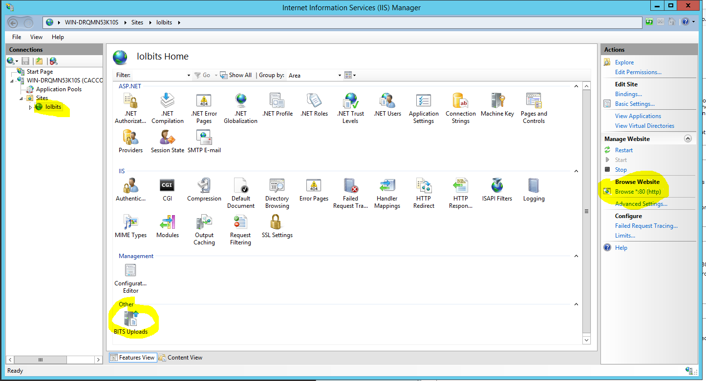Troubleshooting ideas · Issue #2 · Kudaes/LOLBITS · GitHub