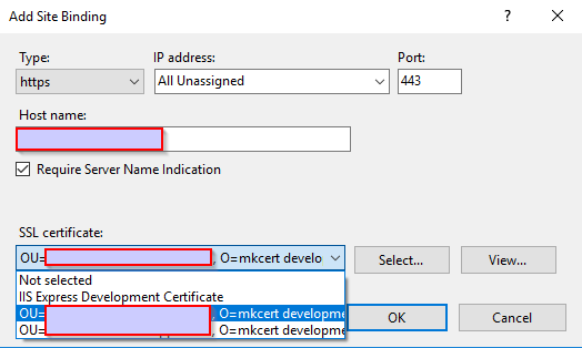 Bad naming when used on IIS · Issue #115 · FiloSottile/mkcert · GitHub
